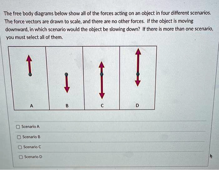 The free body diagrams below show all of the forces acting on an object ...