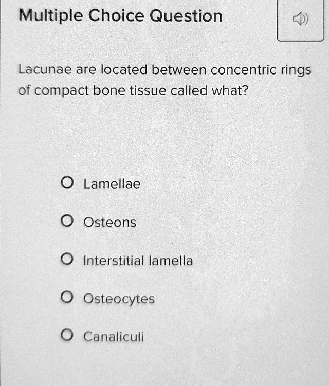 multiple choice question lacunae are located between concentric rings ...