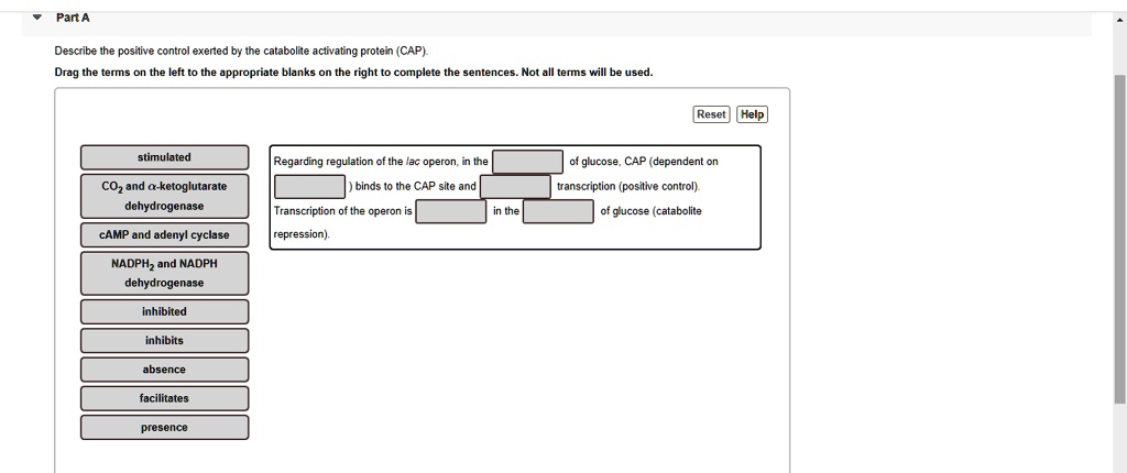 SOLVED: Describe the positive control exerted by the catabolite ...