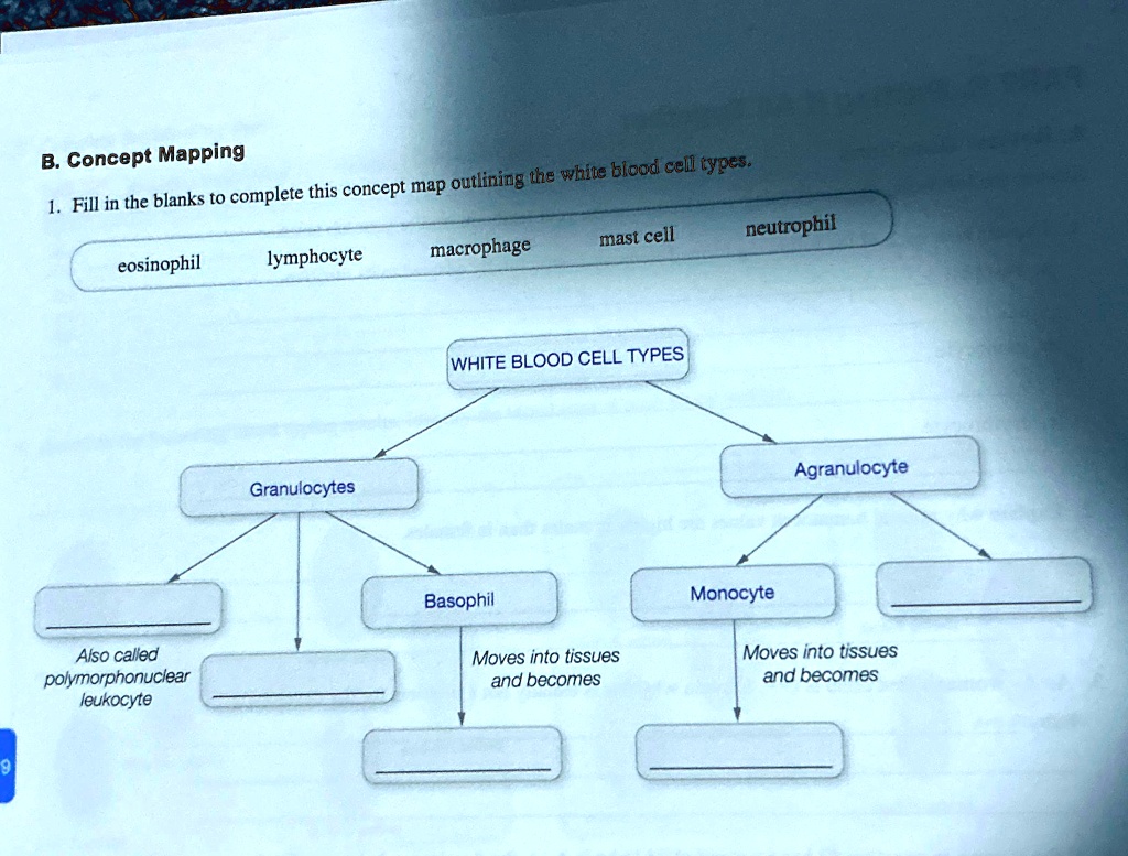 b concept mapping fill in the blanks to complete this concept map ...