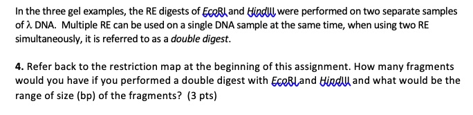 In the three gel examples, the RE digests of EcoRI and HindIII were ...