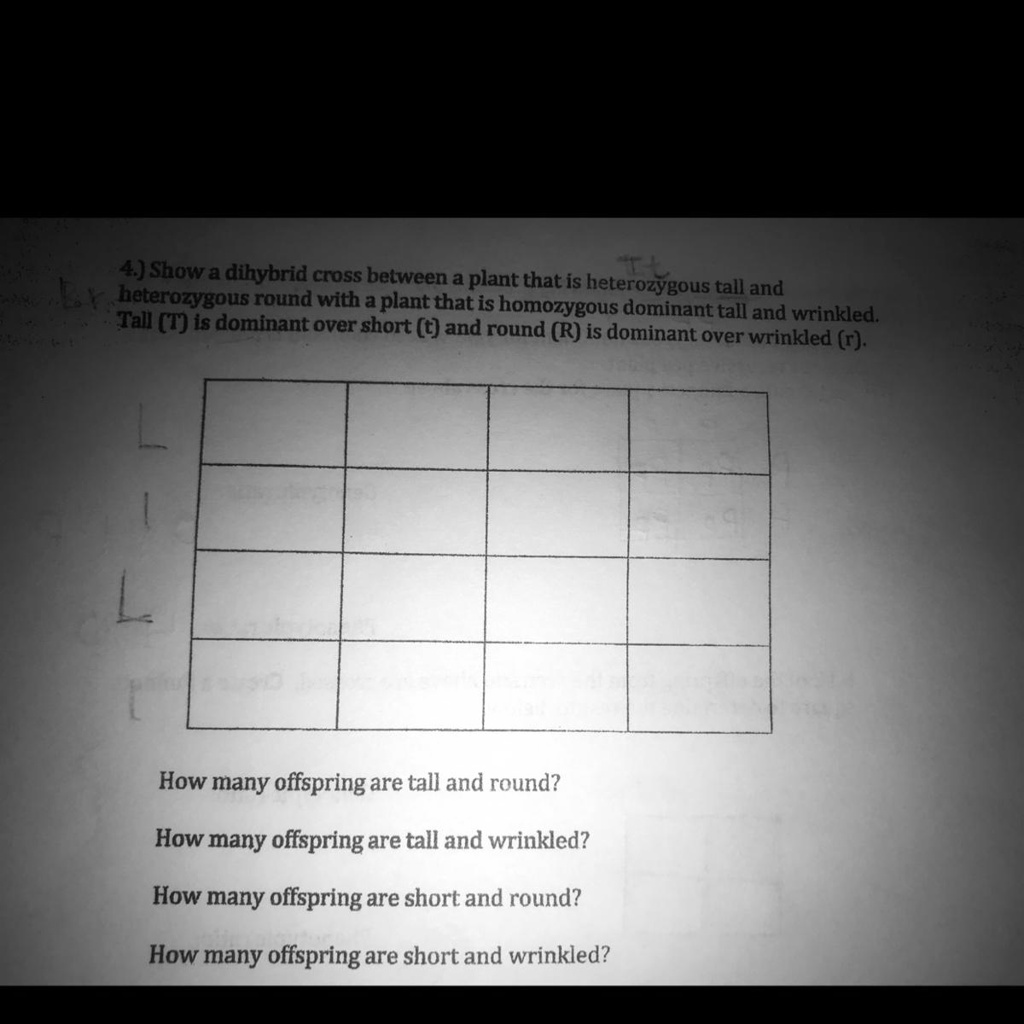 SOLVED: 'Pls give me a brief explanation too since I do not know how to ...