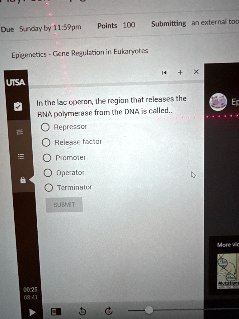 SOLVED: In the lac operon, the region that releases the RNA polymerase ...