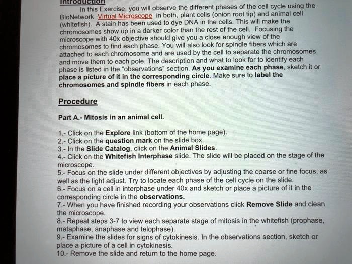 SOLVED: In this exercise, you will observe the different phases of the ...