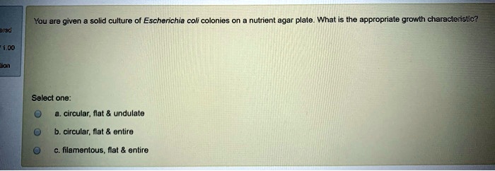 you are given solid culture escherichia coli colonies on nutrient agar ...