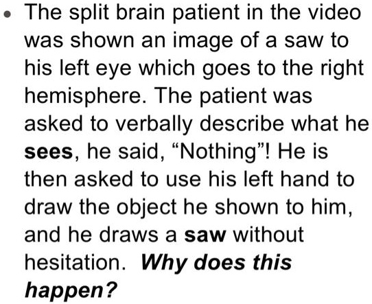The split brain patient in the video was shown an image of a saw to his ...