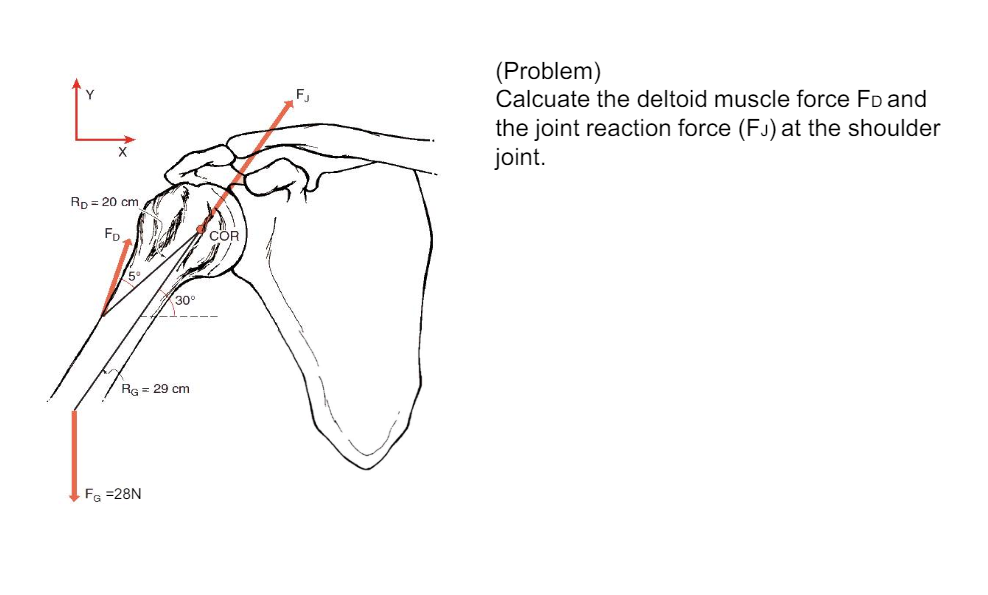 (Problem) Calcuate the deltoid muscle force FD and the joint reaction ...