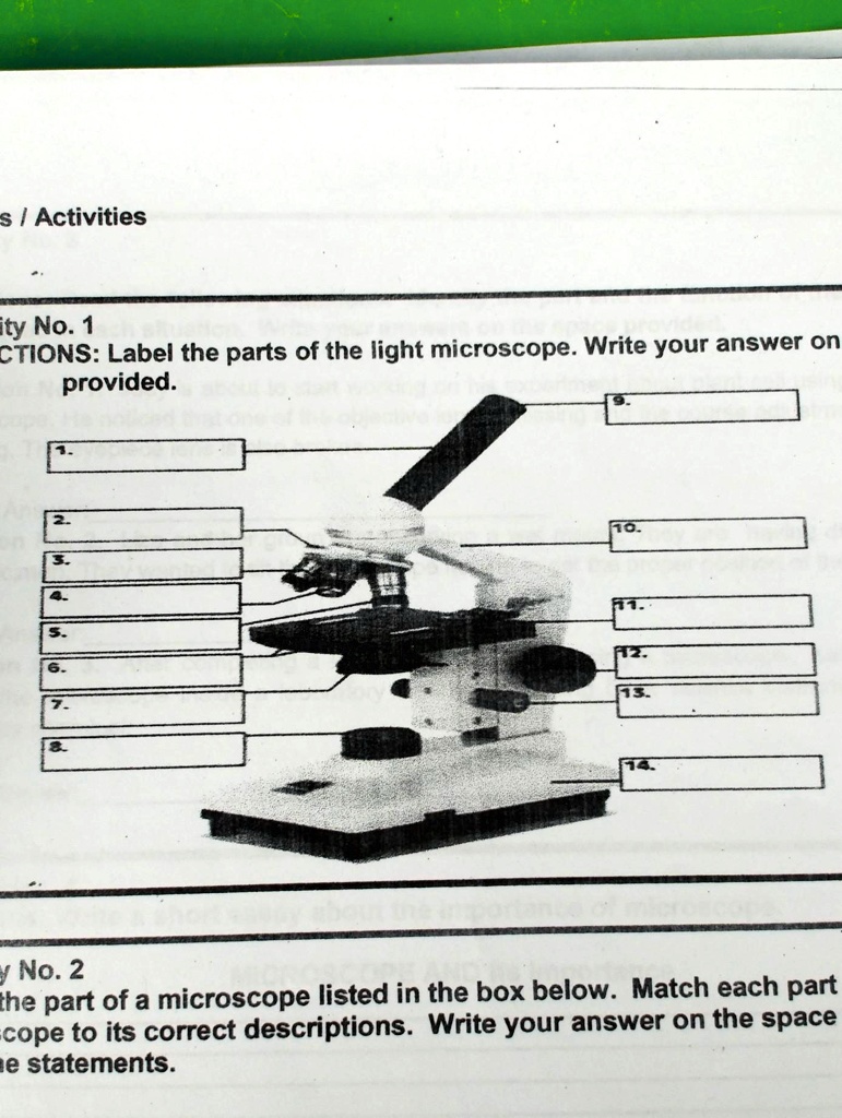s / Activities ty No. 1 CTIONS: Label the parts of the light microscope. Write your answer on ...