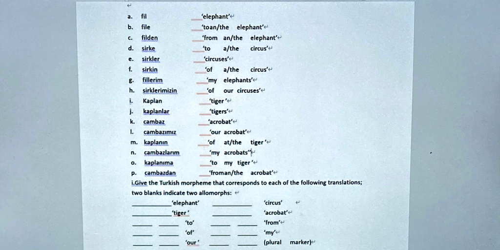 Linguists morphological analysisturkish example the...