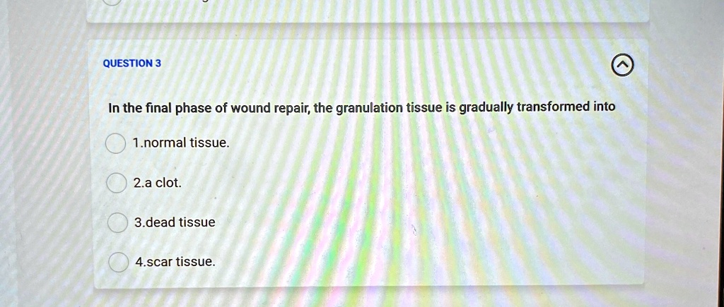SOLVED: In the final phase of wound repair, the granulation tissue is ...