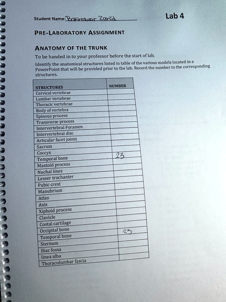 Student Name: Bakhtawar Zahid PRE-LABORATORY ASSIGNMENT ANATOMY OF THE ...