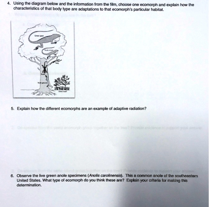 4. Using the diagram below and the information from the film, choose ...
