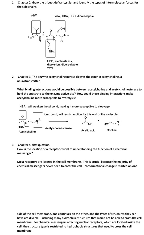 SOLVED: Chapter 2: Draw the tripeptide Val-Lys-Ser and identify the ...