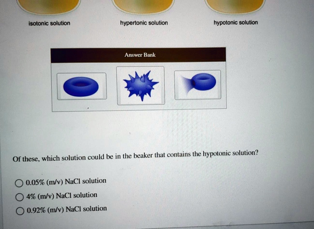 Hypertonic Solution In A Beaker