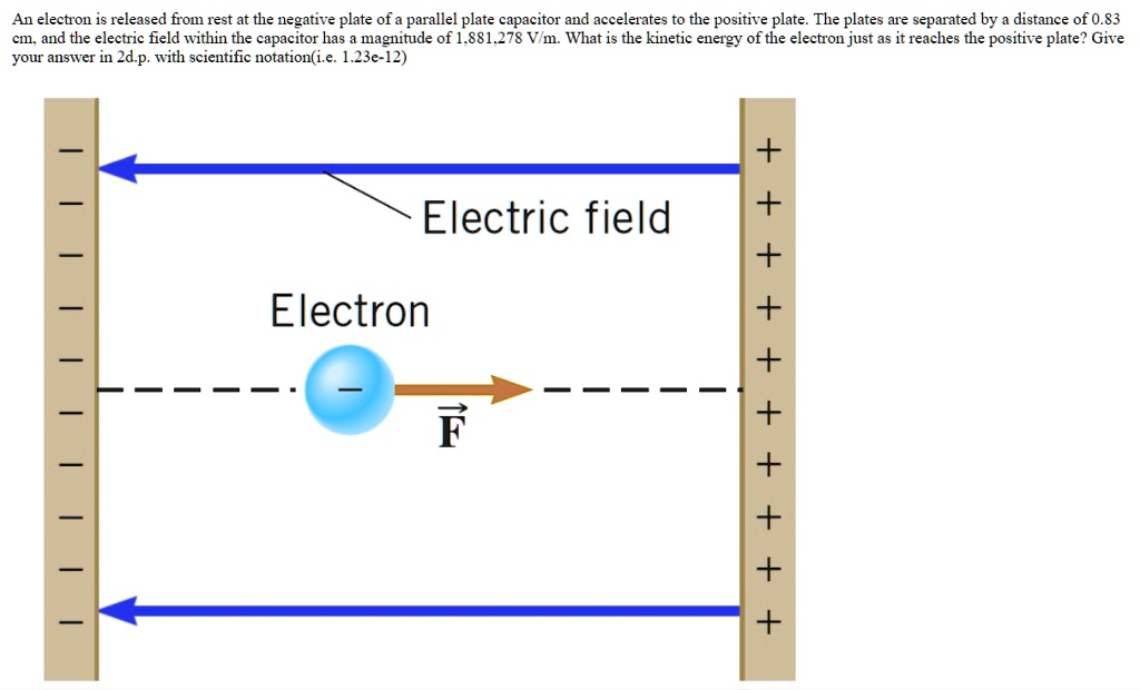 An electron is released from rest at the negative plate of a parallel plate capacitor and ...