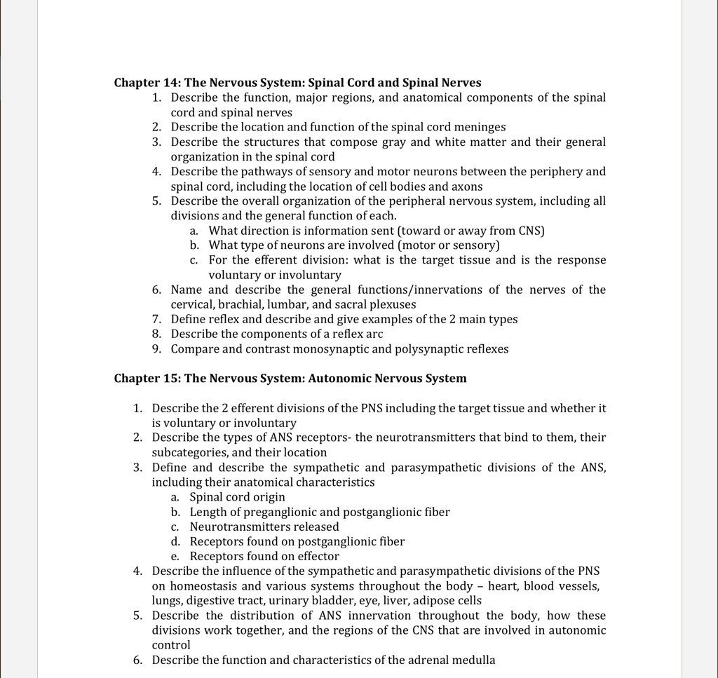 chapter 14 the nervous system spinal cord and spinal nerves describe ...