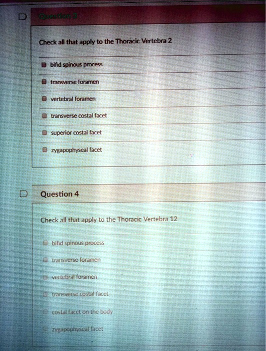 SOLVED: Text: Check all that apply to the Thoracic Vertebra 2 - bifid ...