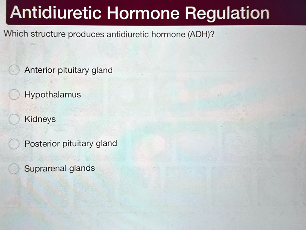 Antidiuretic Hormone Regulation Which structure produces antidiuretic ...