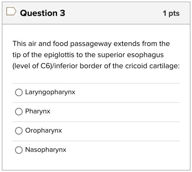 this air and food passageway extends from the tip of the epiglottis to ...