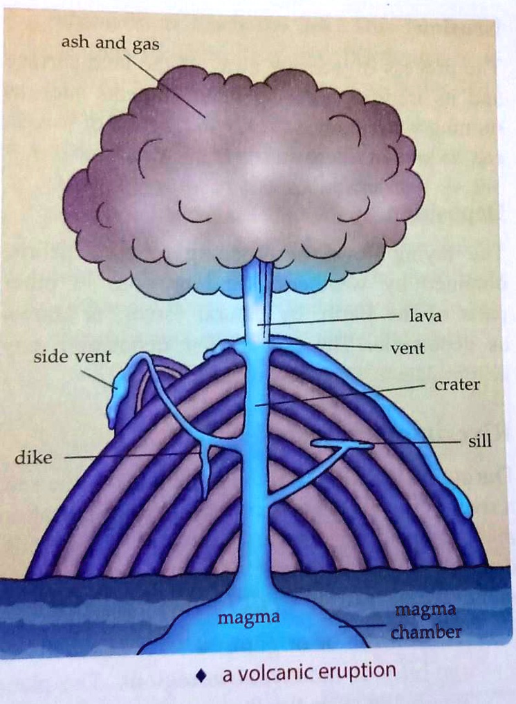 SOLVED: 'what is a volcanic eruption ash and gas lava vent side vent ...