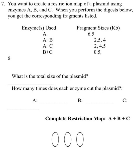 SOLVED: You want to create a restriction map of a plasmid using enzymes ...