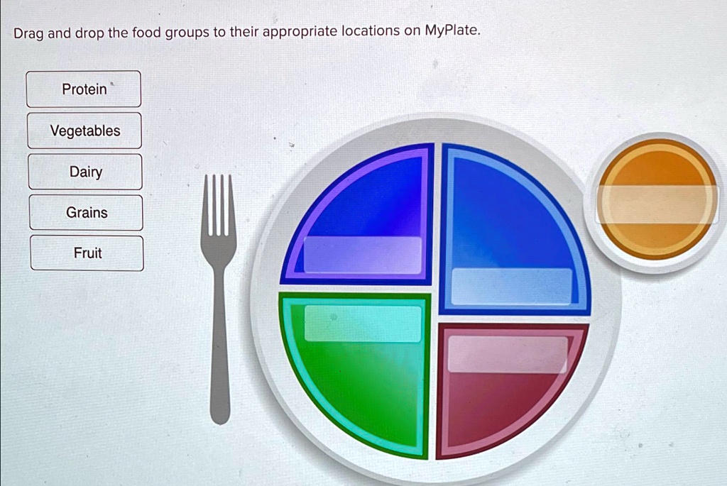 Drag and drop the food groups to their appropriate locations on MyPlate ...