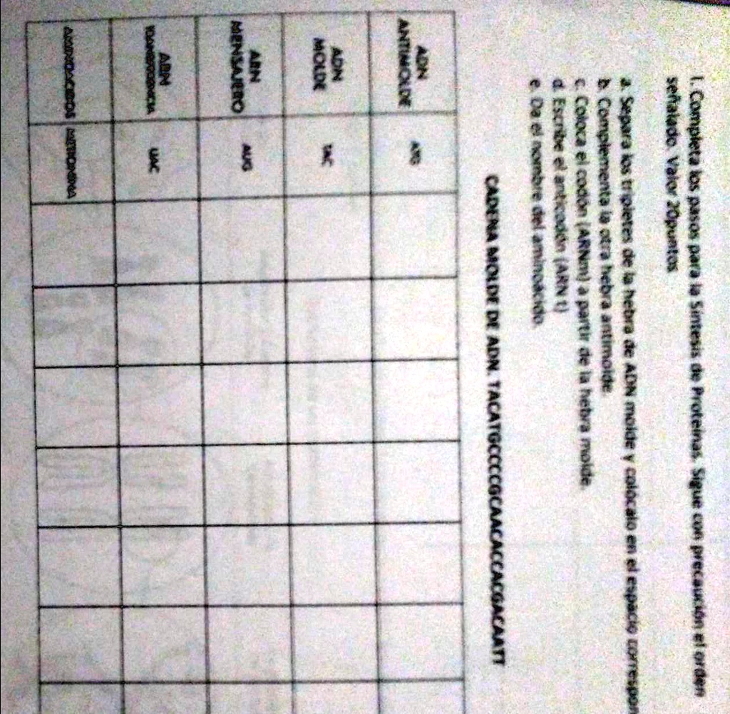 1 completa los pasos para la sintesis de proteinas sigue con precaucion ...