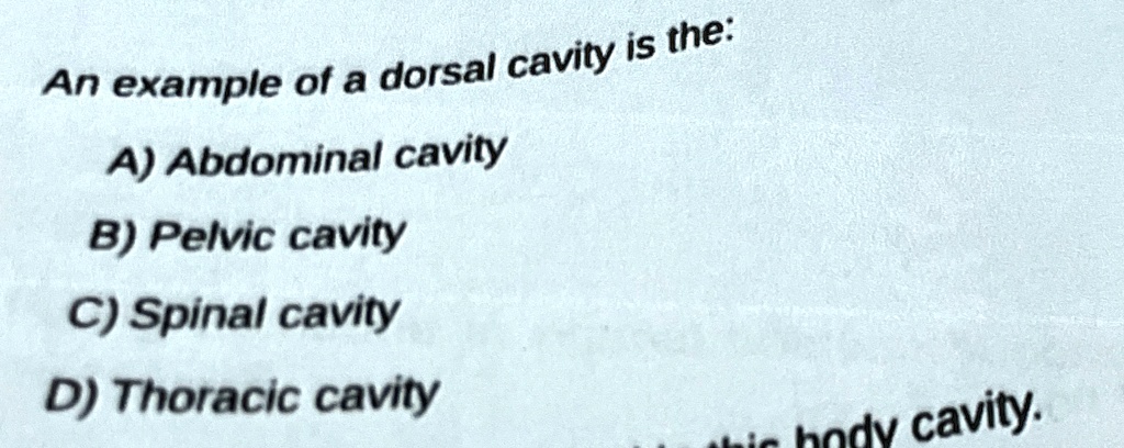 An example of a dorsal cavity is the: A) Abdominal cavity B) Pelvic ...