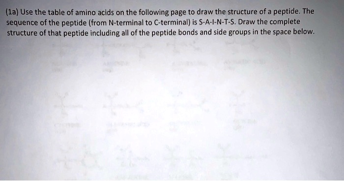 SOLVED: (1a) Use the table of amino acids on the following page to draw the structure of a ...