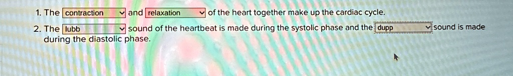 1. The contraction and relaxation of the heart together make up the ...