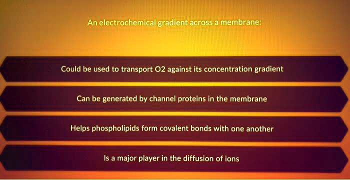 SOLVED: An electrochemical gradient across a membrane: Could be used to ...