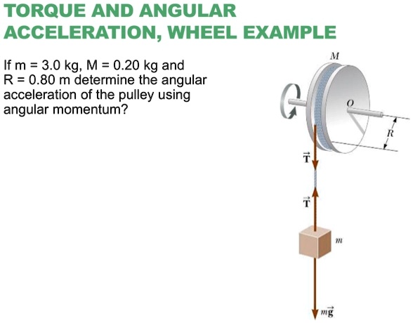 TORQUE AND ANGULAR ACCELERATION, WHEEL EXAMPLE If m = 3.0 kg, M = 0.20 ...