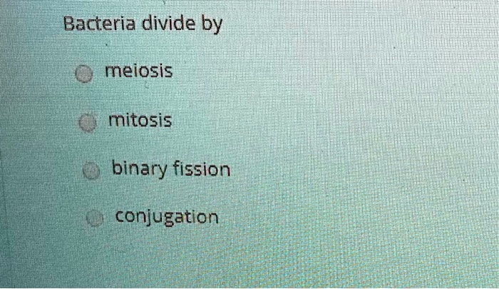 SOLVED: Bacteria divide by 0 meiosis mitosis binary fission conjugation