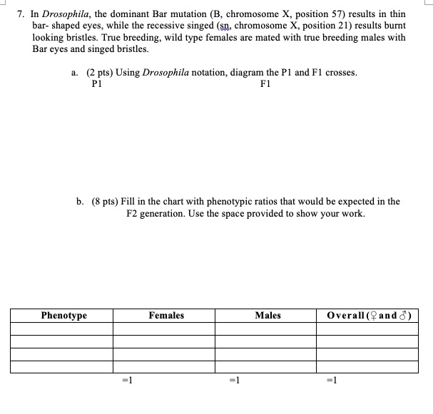 in drosophila the dominant bar mutation b chromosome x position 57 ...