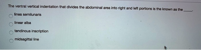 SOLVED: The ventral vertical indentation that divides the abdominal ...