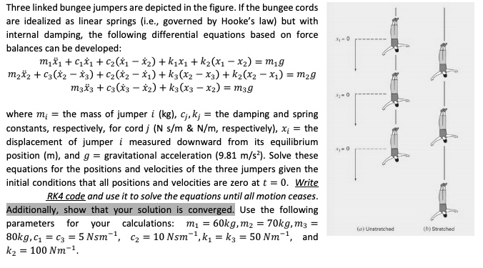 three linked bungee jumpers are depicted in the figure if the bungee cords are idealized as ...