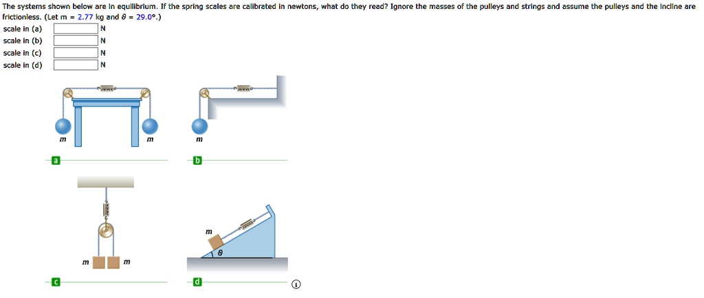 The sisters shown below are in equilibrium. The spring scales are ...