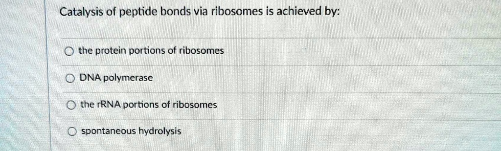 Catalysis of peptide bonds via ribosomes is achieved by: the protein ...