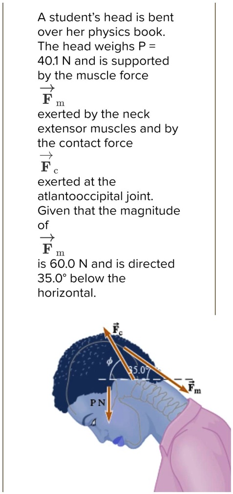 A student's head is bent over her physics book: The head weighs P 40.1 ...