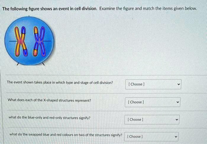 SOLVED: The following figure shows an event in cell division. Examine ... SOLVED: The following figure shows an event in cell division. Examine ...