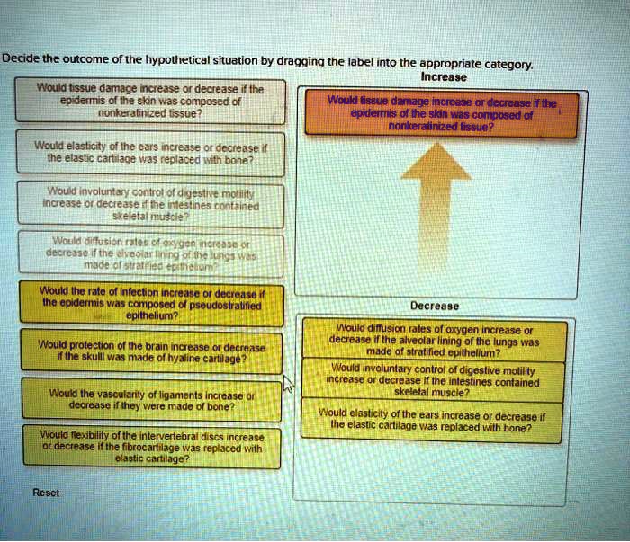 SOLVED: Decide the outcome of the hypothetical situation by dragging ...