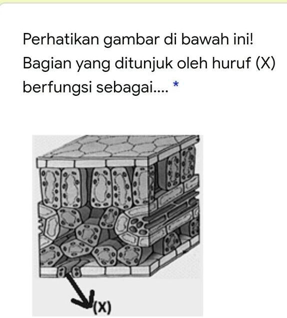 SOLVED: minta bantuannya kakak Perhatikan gambar di bawah inil Bagian ... SOLVED: minta bantuannya kakak Perhatikan gambar di bawah inil Bagian ...