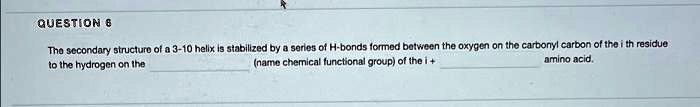QUESTION 6 The secondary structure of a 3-10 helix is stabilized by a ...