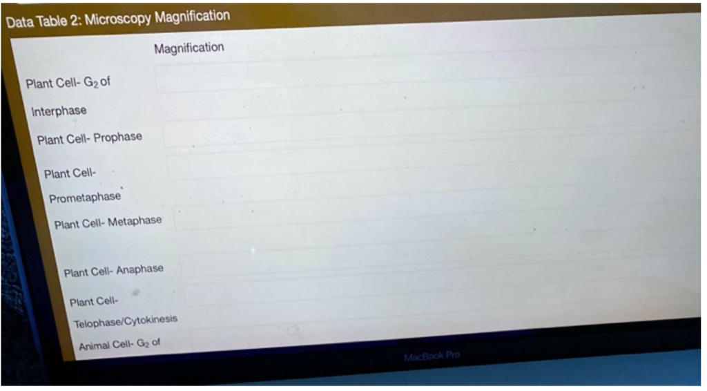 SOLVED: Data Table 2: Microscopy Magnification Magnification Plant Cell ...