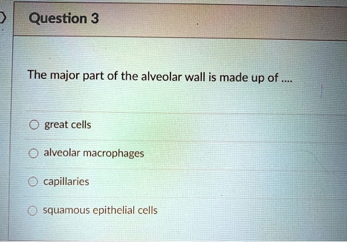 Question 3 The major part of the alveolar wall is made up of .... great ...