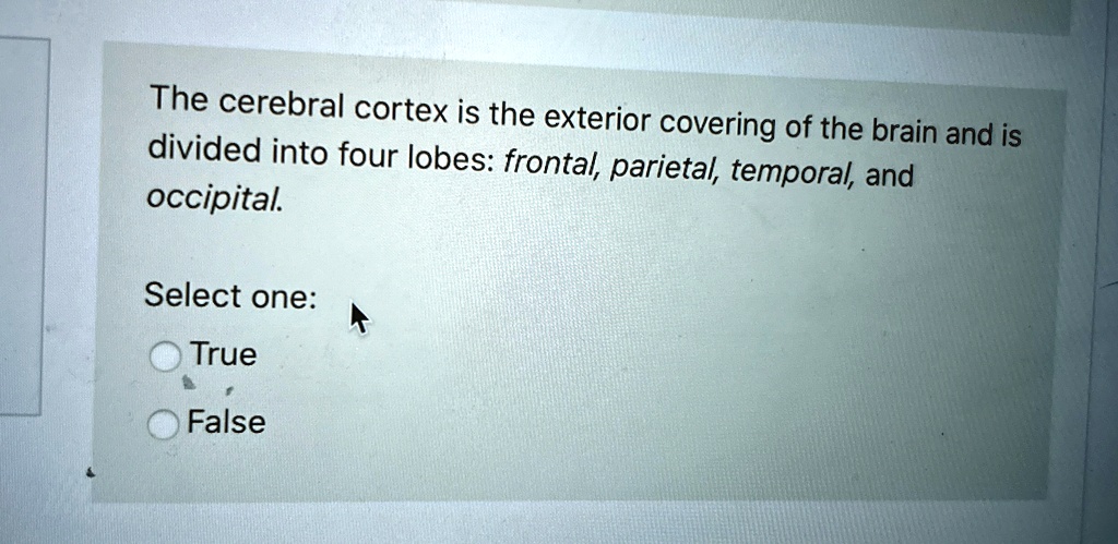 the cerebral cortex is the exterior covering of the brain and is ...