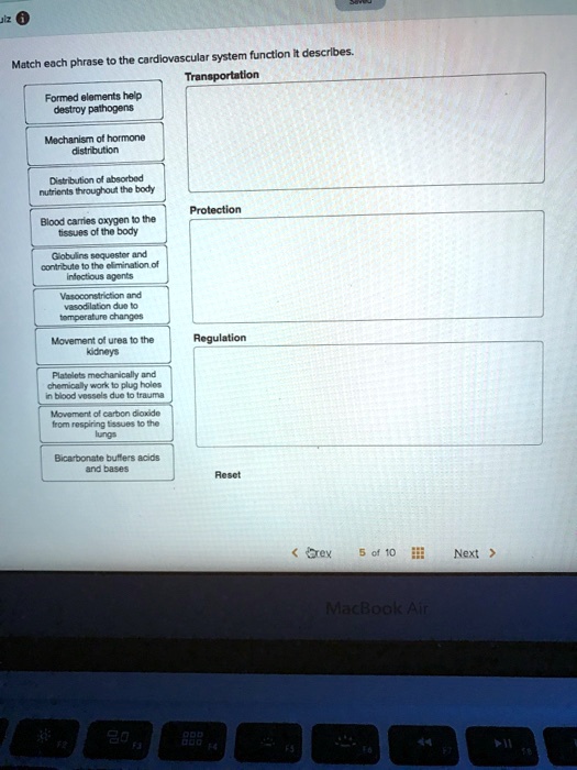 Match each phrase to the cardiovascular system function it describes. Formed elements help ...
