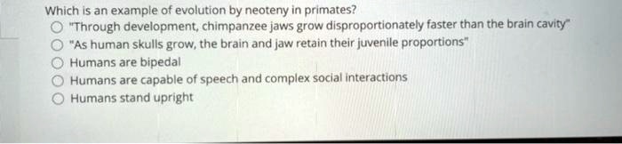 SOLVED: Which is an example of evolution by neoteny in primates ...