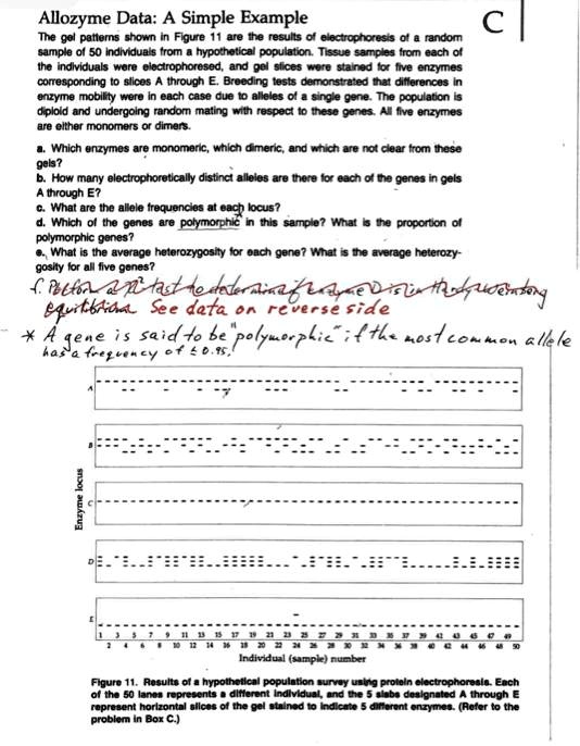 SOLVED: Texts: Please answer questions A, B, C, D, and E based on the 5 ...