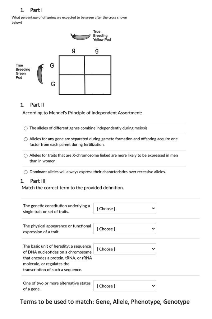 SOLVED: What percentage of offspring are expected below? Breeding after ...